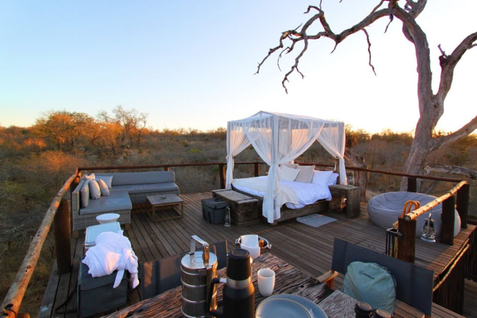 CHALKLEY TREEHOUSE: No walls. No roof. Just a starlit sky. On your ...