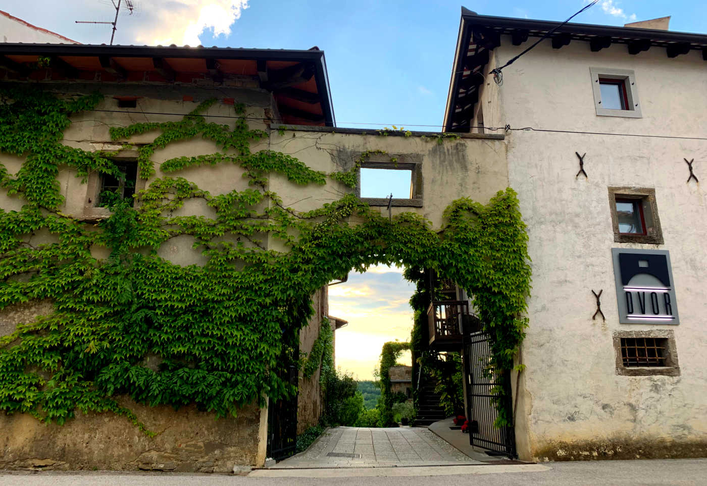 SLOVENIA WINE COUNTRY: Zero-kilometer cuisine + affordable wine? Yes ...