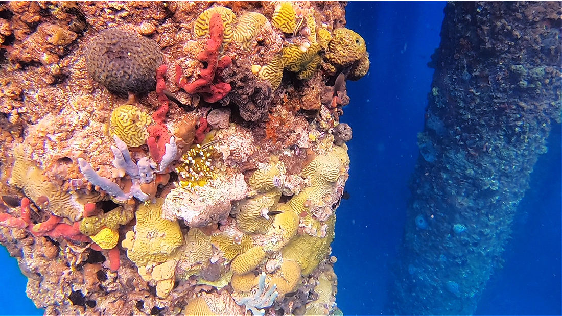 TOP 13 ST CROIX USVI THINGS TO DO that are worth planning a Caribbean ...