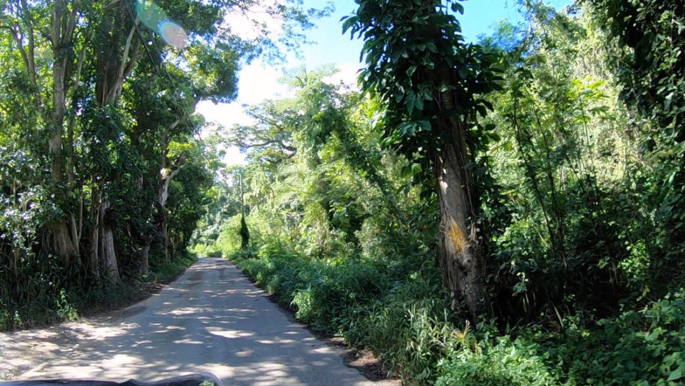 TOP 13 ST CROIX USVI THINGS TO DO that are worth planning a Caribbean ...