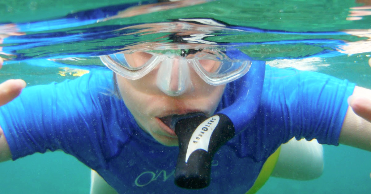 How to Snorkel: 7 Beginner Tips from an Expert Snorkeler - Enriching ...